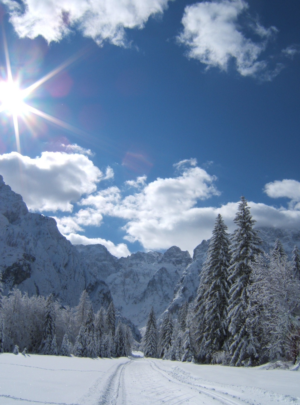Sci di fondo Val Saisera - Valbruna - Discover Alpi Giulie